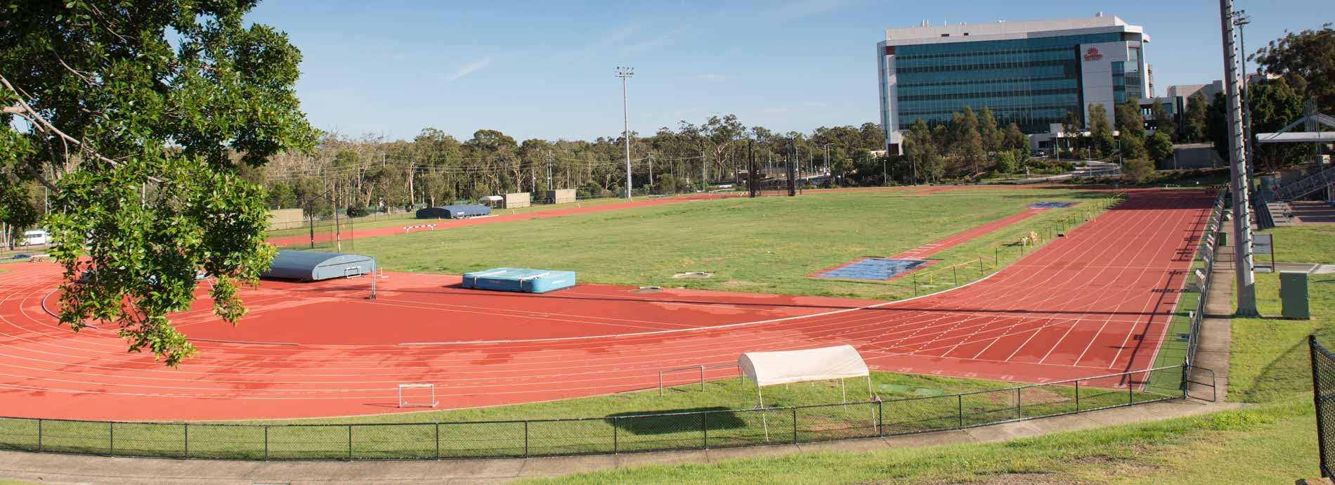 Griffith University Oceania Australia Foundation - Athletics Business ...